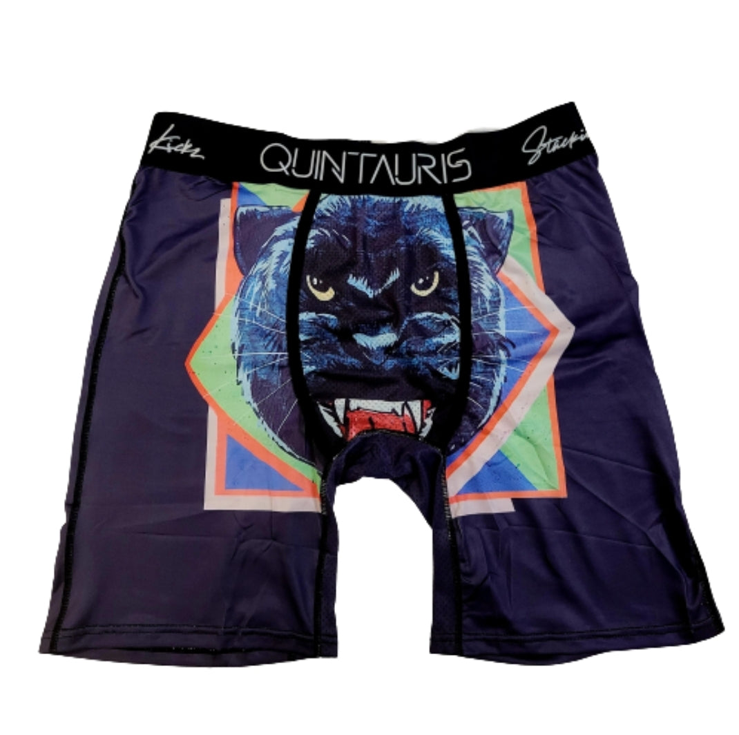 Stackin Kickz X Quintauris Collab Boxers